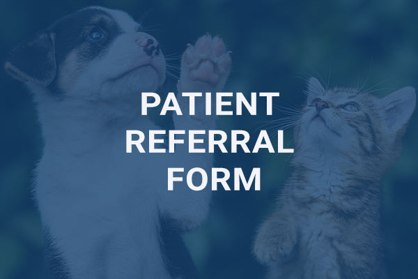 Referring Veterinarians | Chesapeake Veterinary Surgical Specialist